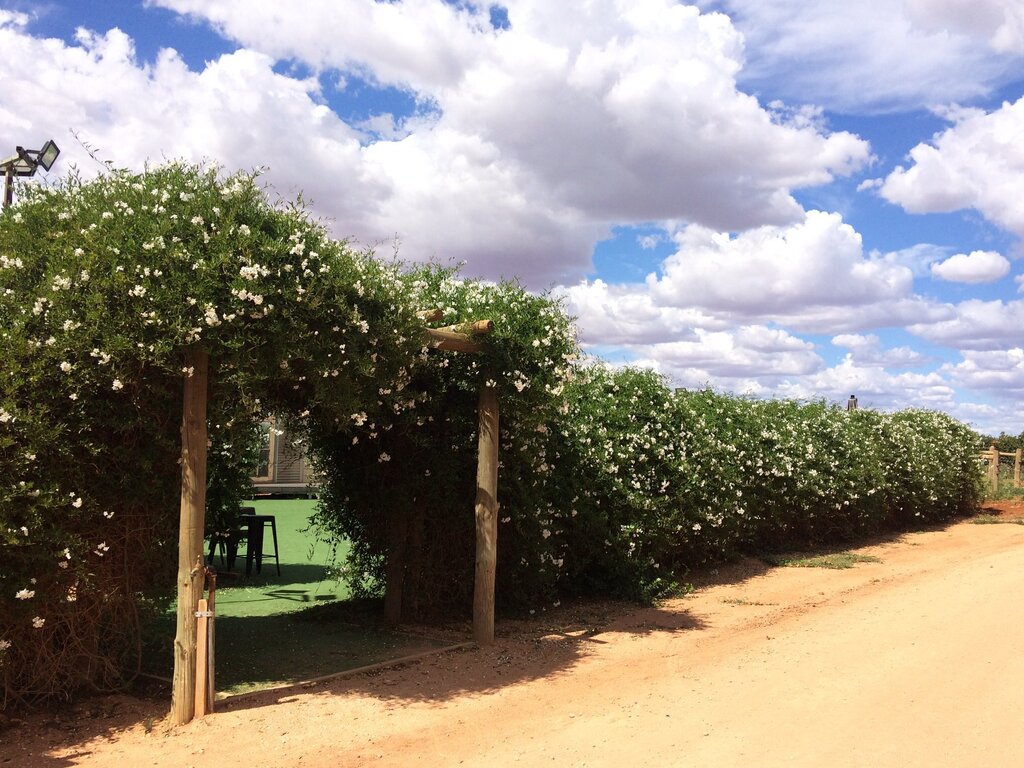 Benetook Farm - Wedding Venues Mildura