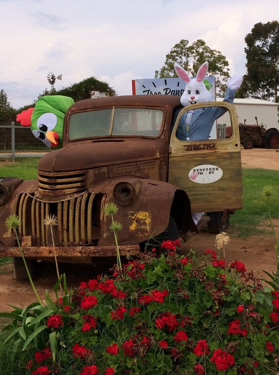 Benetook Farm - Wedding Venues Mildura